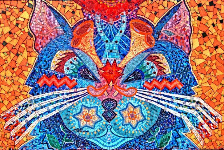 INCOSPAR, ISRO & India’s Spaceports | Madras Courier