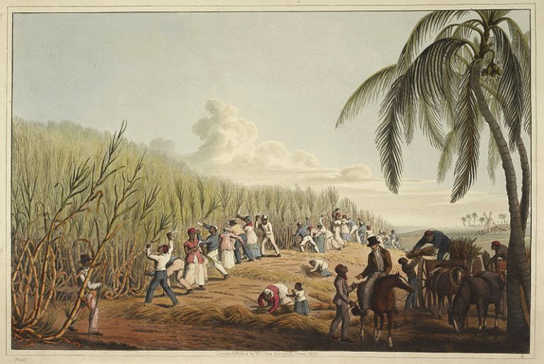 The Bitter History Of Sugar | Madras Courier