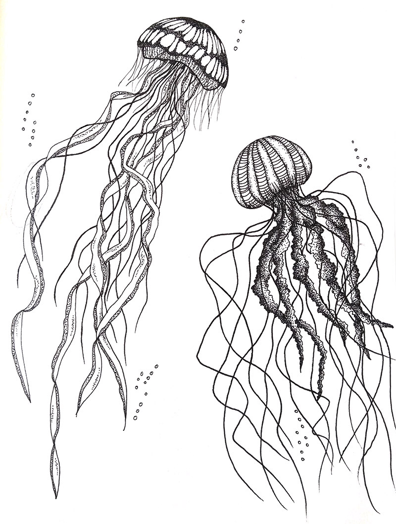 The-Delicate-Art-Of-Doodling-Madras-Courier-06a | Madras Courier