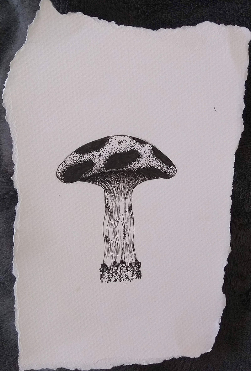 The-Delicate-Art-Of-Doodling-Madras-Courier-13 (1) | Madras Courier