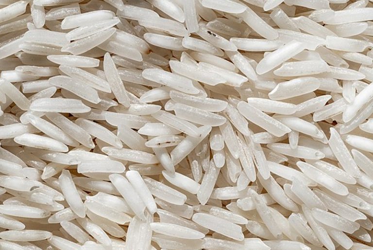 Basmati, Biopiracy & The Curious Case of ‘Texmati’ | Madras Courier