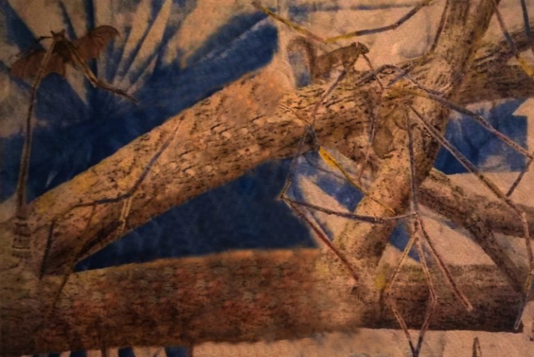 Chand Bibi: The Deccan’s Warrior Queen | Madras Courier