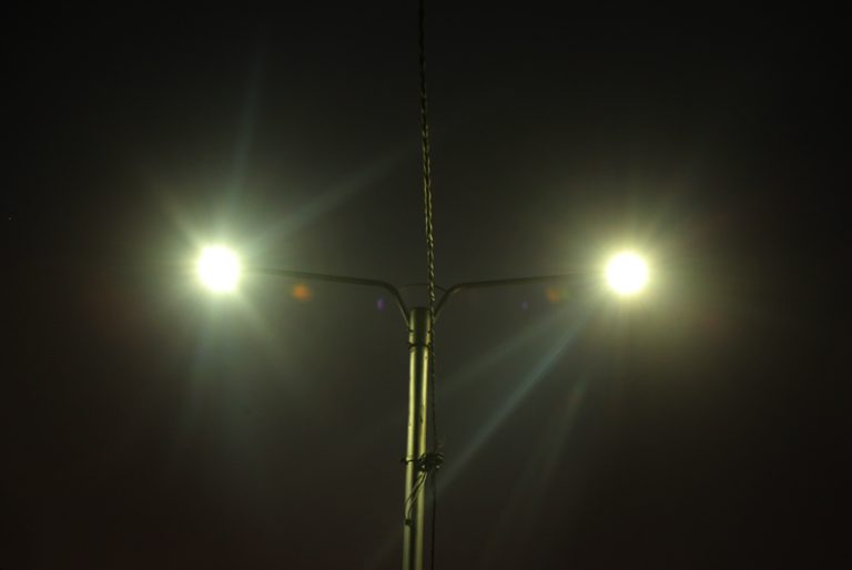 Light Pollution Is Killing Insects & Disturbing The Ecology | Madras ...