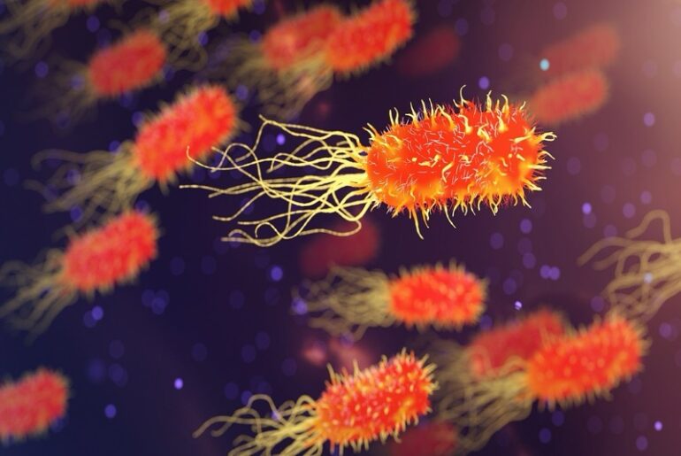 Mirror Life Forms’ Could Be Deadly | Madras Courier